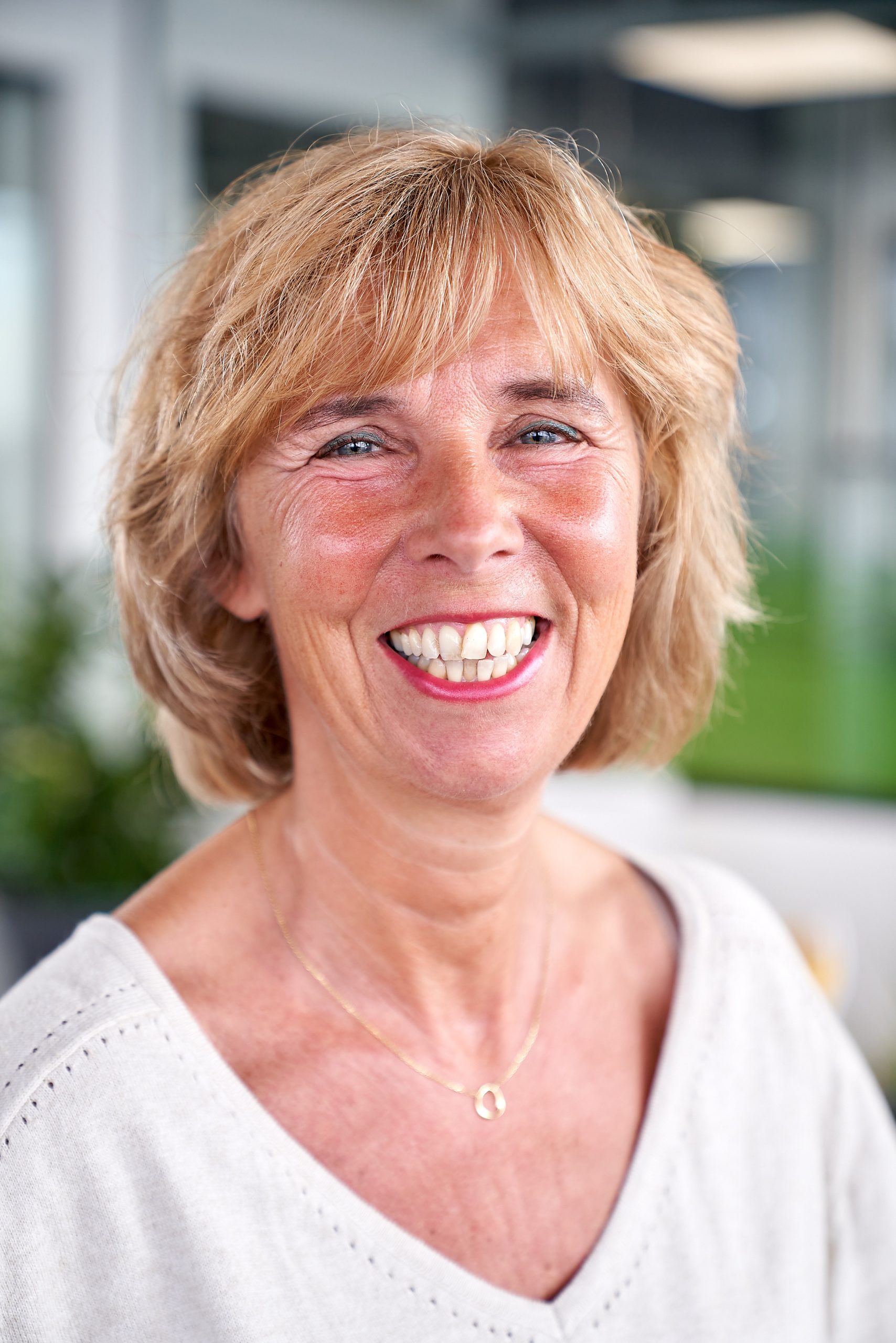 Contact met het team - RecollEurope